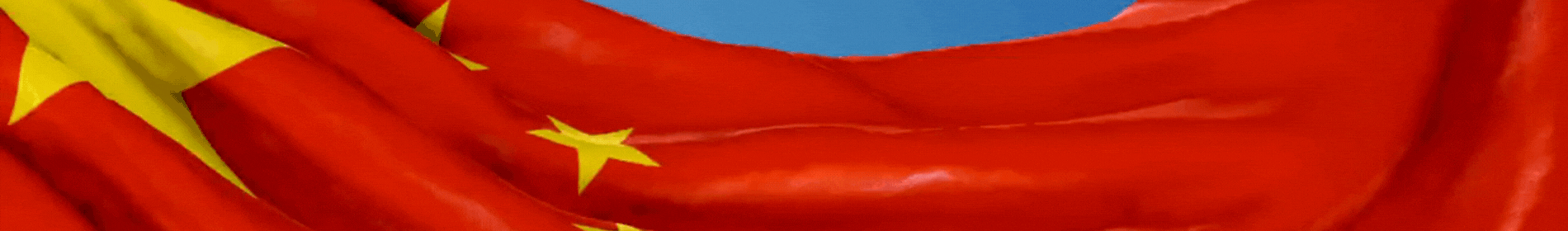 中国药品经销商和批发供应商 : Oddway International 印度医学